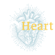 Heart University - Heart University